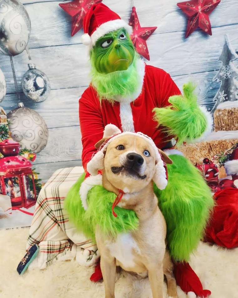 Oh, No! The Grinch is Coming!